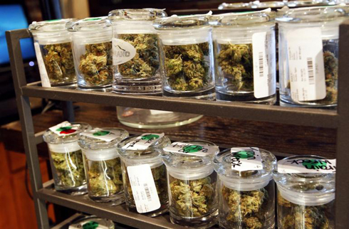 colorado pot shop : Shiva Online